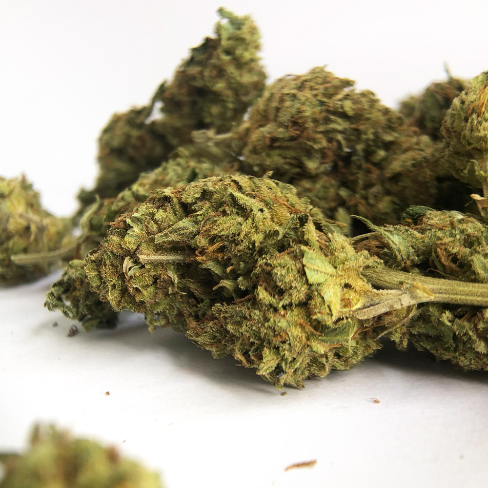 Tarts Sativa Hybrid Strain Information